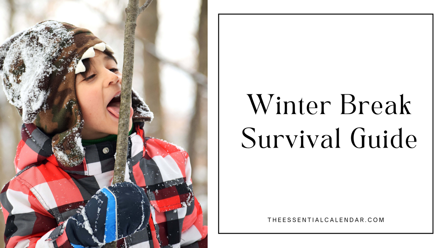 Your Winter Break Survival Guide: Ideas, Tips, and Tricks – The ...